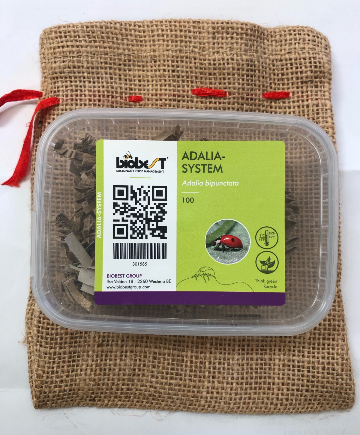 Toplettede Mariehøns, 100stk larver - Nyheder - BORREGAARD BIOPLANT ApS