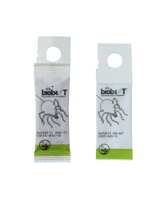 Swirskii-rovmide småposer 10stk - Nyheder - BORREGAARD BIOPLANT ApS